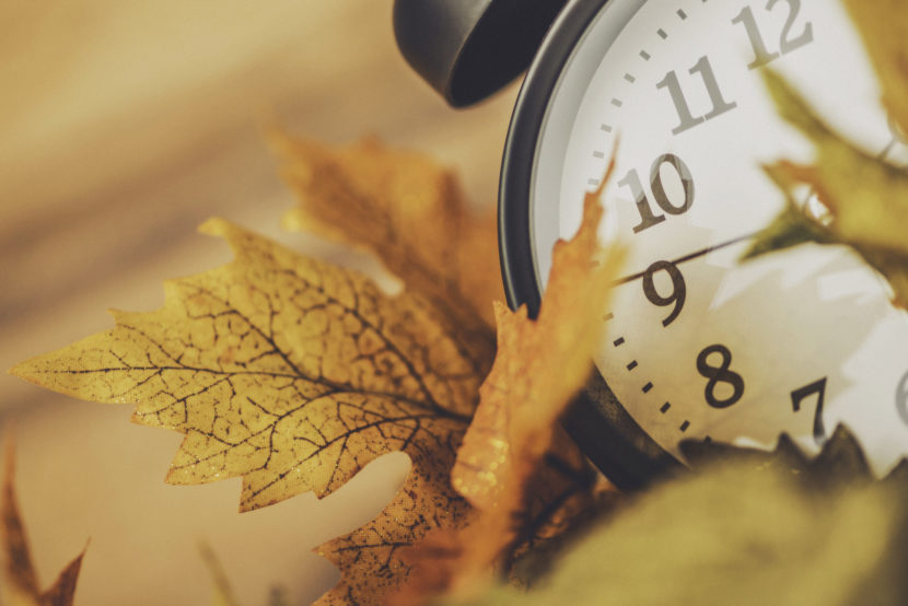 Fun Facts About Daylight Saving You Might Not Know Judd Builders
